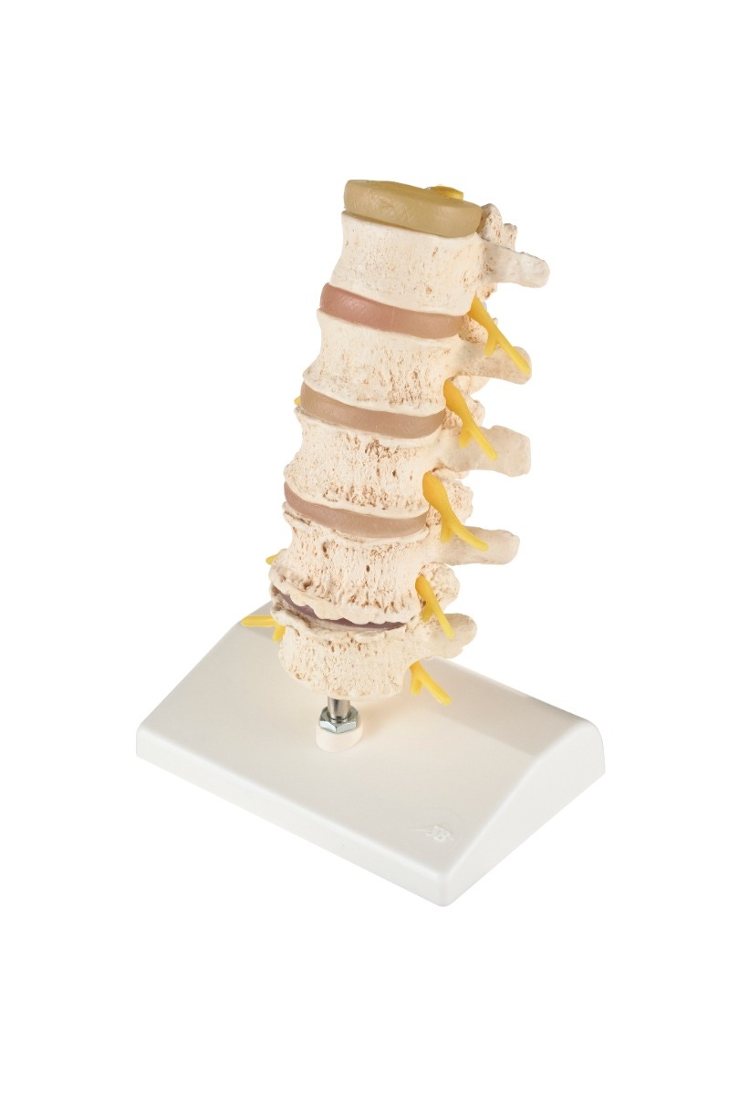 Clinical Reference Materials for Sale | Performance Health