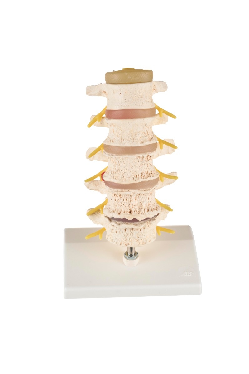 Clinical Reference Materials for Sale | Performance Health