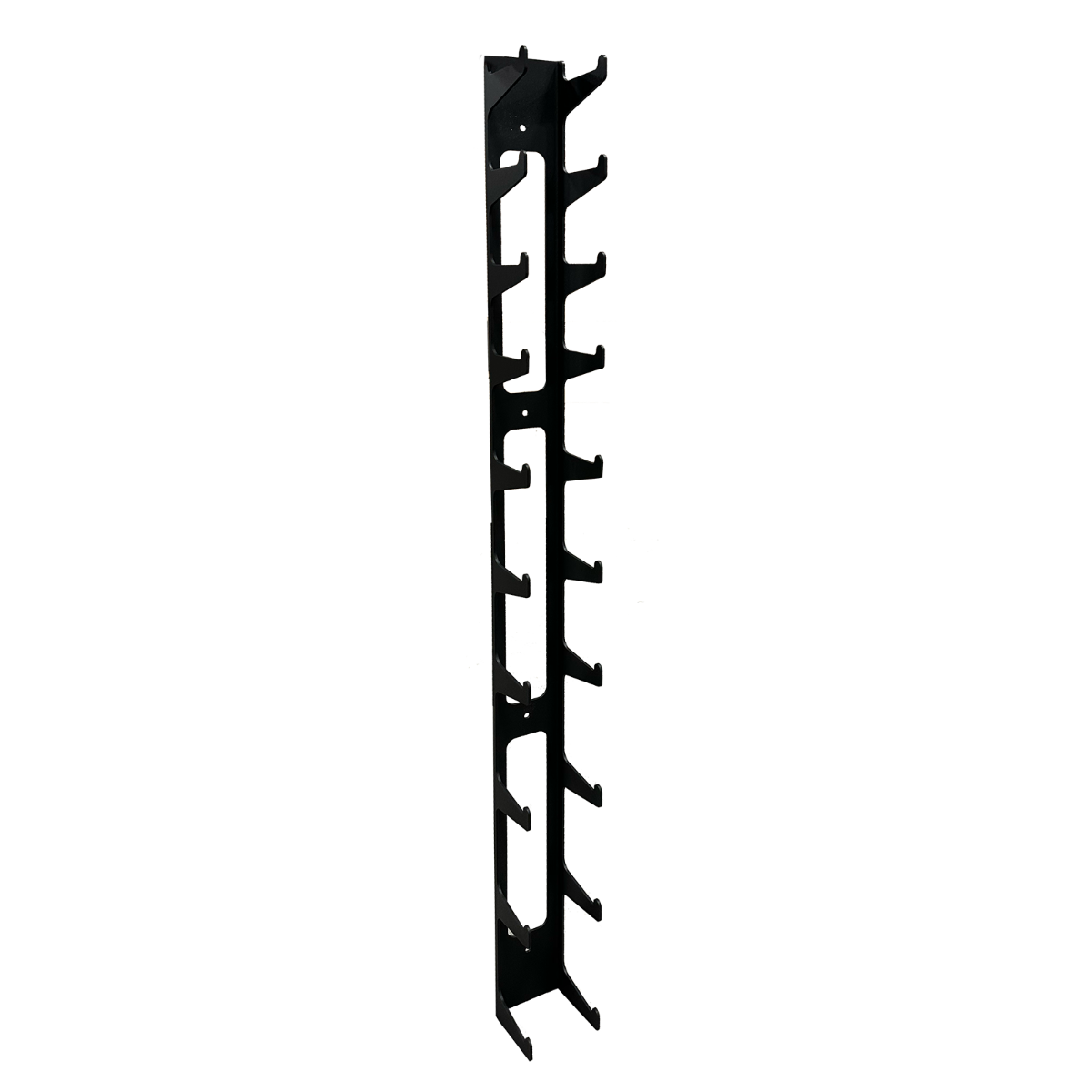 Pivotal Health Wall Mount Dumbbell Rack | Gym Organizer | Performance ...