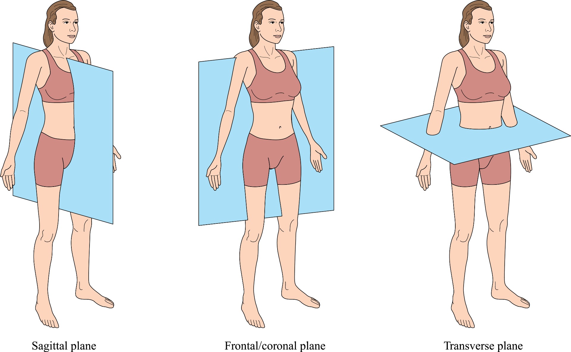 Sagittal Plane Movements