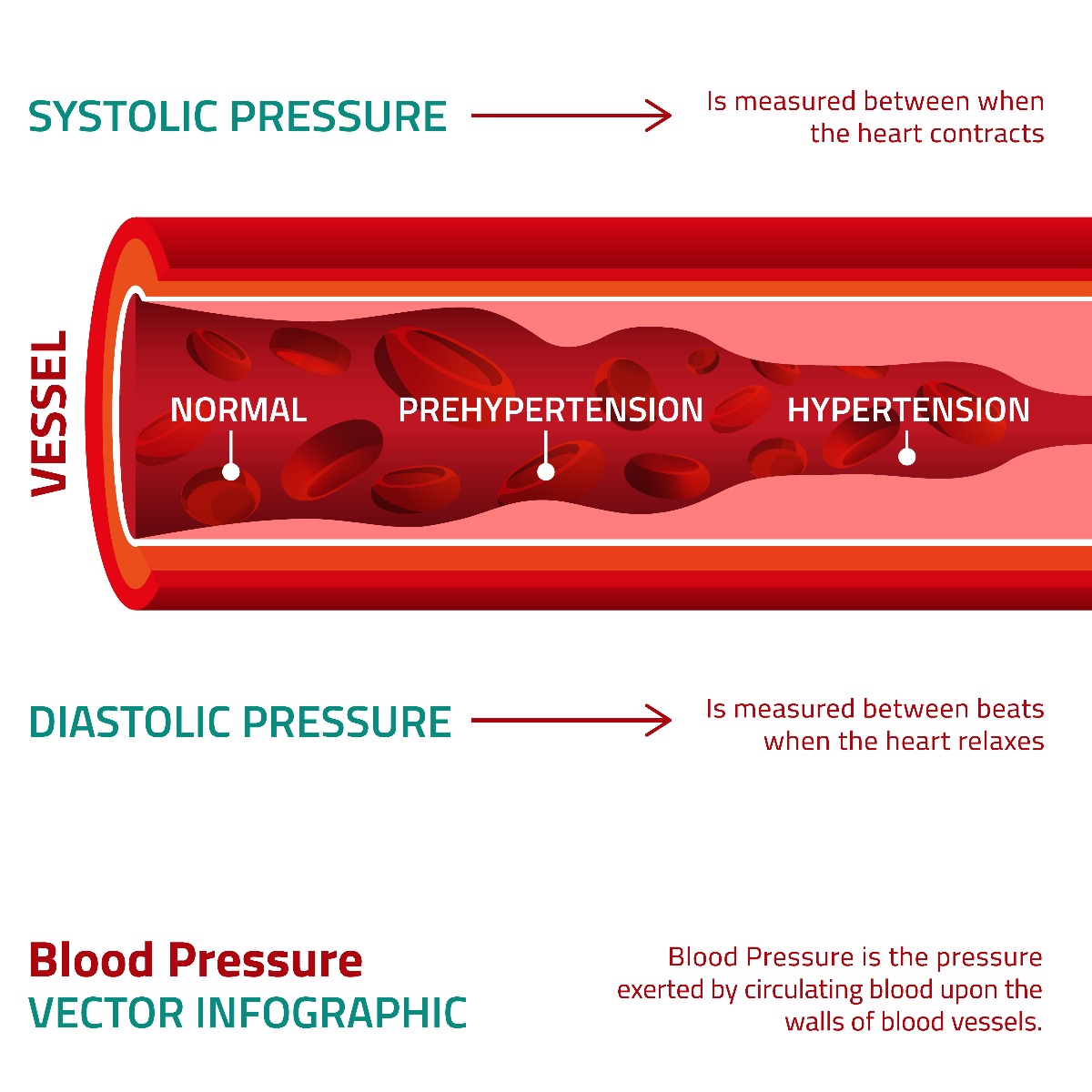 How To Monitor Your Blood Pressure At Home Performance Health